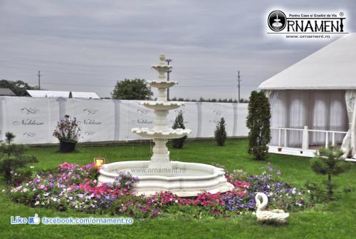 Galerie Fantani Arteziene